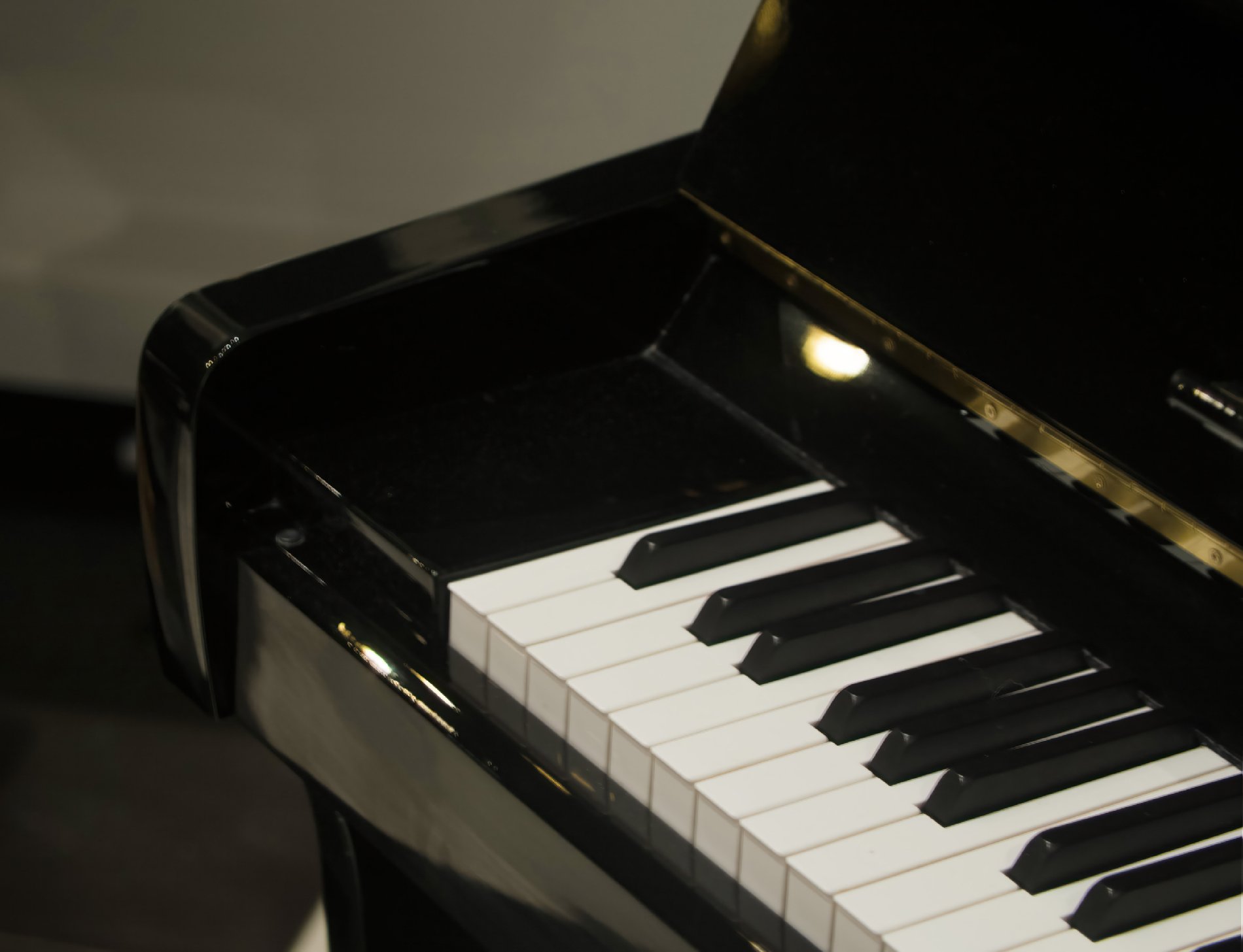 Пианино W. Hoffmann Vision V 120 (BU) черное, полированное - купить в ...